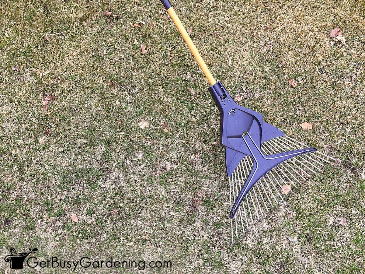 When To Rake Your Lawn In The Spring - Get Busy Gardening