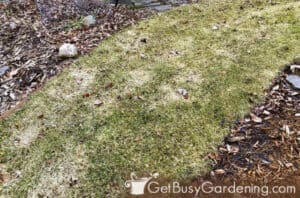 When To Rake Your Lawn In The Spring - Get Busy Gardening