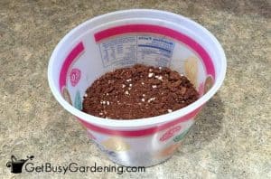 How To Prepare Containers For Winter Sowing - Get Busy Gardening