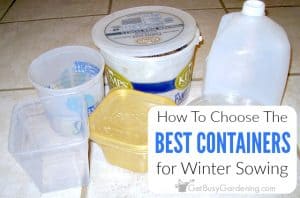 Winter Sowing Containers: What Works & What Doesn’t - Get Busy Gardening