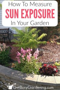 How To Determine Sun Exposure In Your Garden - Get Busy Gardening