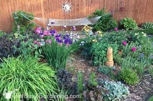 How To Determine Sun Exposure In Your Garden - Get Busy Gardening