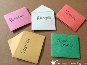 DIY Seed Packets - How To Make Paper Seed Envelopes In 4 Easy Steps