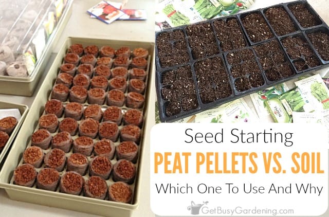 Seed Starting Peat Pellets Vs. Soil: Which Should You Use And Why?