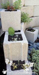 How To Make A DIY Cinder Block Planter - Get Busy Gardening