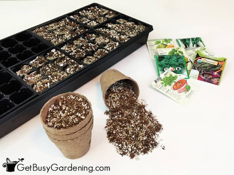 How To Make Your Own Seed Starting Mix Cheap & Easy - Get Busy Gardening