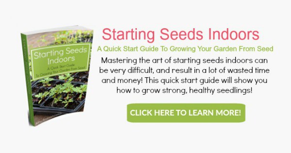 Starting Seeds Indoors eBook