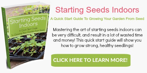 Starting Seeds Indoors eBook