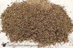 How To Make Your Own DIY Seed Starting Mix (With Recipe!)