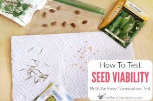 How To Tell If Seeds Are Good Or Bad: 5 Step Viability Test - Get Busy ...