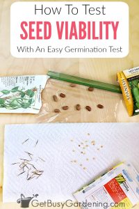 How To Tell If Seeds Are Good Or Bad: 5 Step Viability Test - Get Busy ...