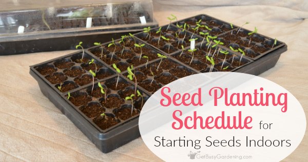 Seed Planting Schedule: When To Start Garden Seeds Indoors