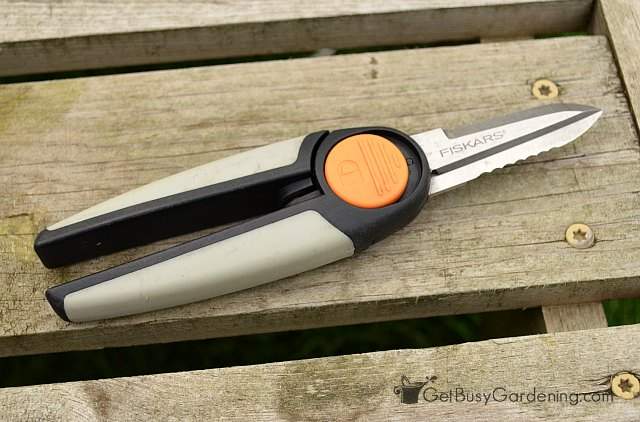 How To Sharpen Pruning Shears For The Perfect Cut Every Time