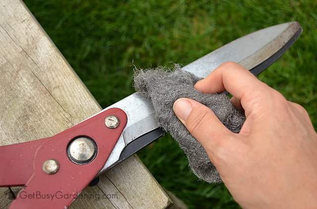 How To Sharpen Pruning Shears For The Perfect Cut Every Time