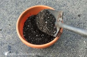 The Best Soil For Container Gardening (With Recipe!) - Get Busy Gardening