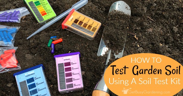 Garden Soil Testing: How To Test Your Soil At Home Using A Soil Test Kit