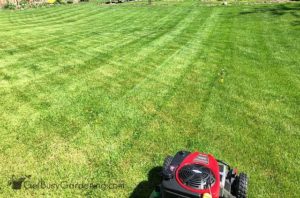 Lawn Mowing Patterns: How To Cut Grass Like A Pro