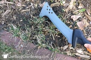 Spring Garden Clean Up Checklist & Cleaning Tips