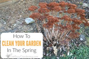 Spring Garden Clean Up Checklist & Cleaning Tips