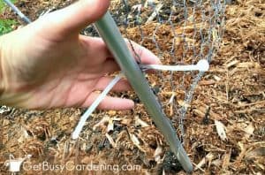 How To Build A Pea Trellis Arch - Get Busy Gardening