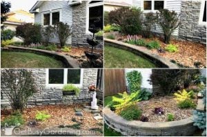 Foundation Planting Basics (Design Tips & Detailed Step-By-Step Guide)