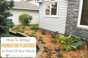 Foundation Planting Basics (Design Tips & Detailed Step-By-Step Guide)