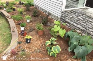 Foundation Planting Basics (Design Tips & Detailed Step-By-Step Guide)