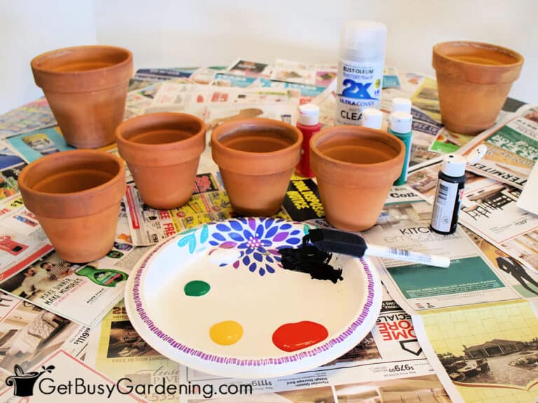 How To Paint Terracotta Pots Step-By-Step - Get Busy Gardening