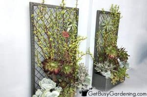 15 Types Of Vertical Gardening Systems & Supports - Get Busy Gardening