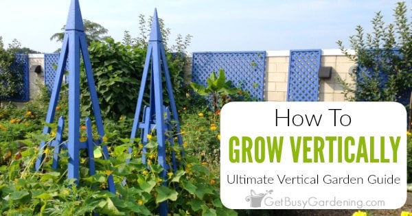Growing Vertically: The Ultimate Vertical Garden Guide - Get Busy Gardening
