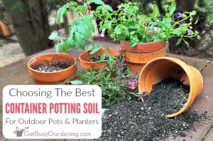 The Best Soil For Container Gardening (With Recipe!) - Get Busy Gardening