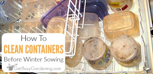How To Clean Winter Sowing Containers For Reuse - Get Busy Gardening