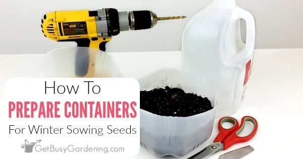 How To Prepare Containers For Winter Sowing - Get Busy Gardening
