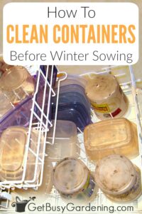 How To Clean Winter Sowing Containers For Reuse - Get Busy Gardening