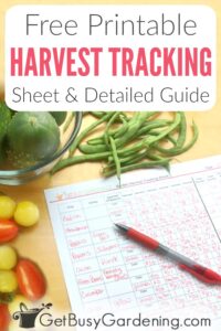 Free Garden Harvest Tracking Sheet & Guide - Get Busy Gardening