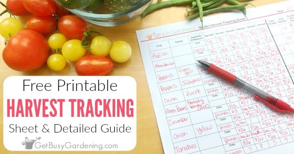 Free Garden Harvest Tracking Sheet & Guide - Get Busy Gardening