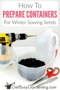 How To Prepare Containers For Winter Sowing - Get Busy Gardening