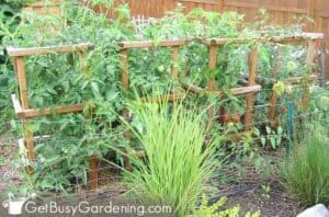 How To Make Sturdy DIY Wooden Tomato Cages - Get Busy Gardening