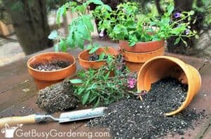 7 Easy DIY Potting Soil Recipes To Mix Your Own - Get Busy Gardening