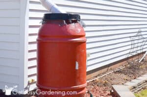 How To Set Up A Rain Barrel Step-By-Step - Get Busy Gardening