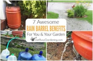 7 Awesome Benefits Of Rain Barrels - Get Busy Gardening