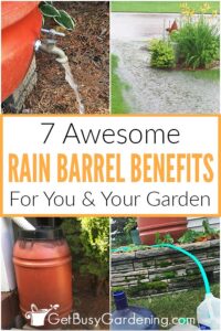 7 Awesome Benefits Of Rain Barrels - Get Busy Gardening