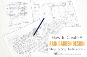 How To Design A Rain Garden Layout - Get Busy Gardening