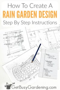 How To Design A Rain Garden Layout - Get Busy Gardening