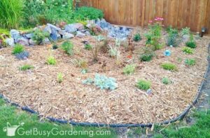 How To Build A Rain Garden Step-By-Step - Get Busy Gardening