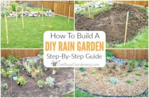 How To Build A Rain Garden Step-By-Step - Get Busy Gardening