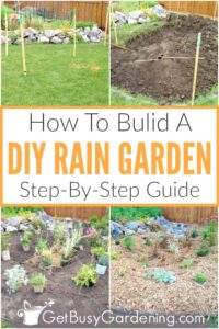 How To Build A Rain Garden Step-By-Step - Get Busy Gardening