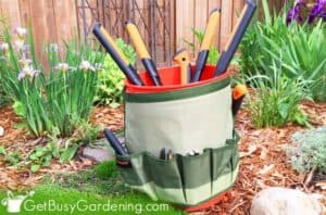 Pruning Plants: The Complete Step-By-Step Guide - Get Busy Gardening