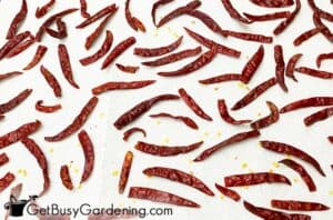 4 Easy Ways To Dry Cayenne Peppers - Get Busy Gardening