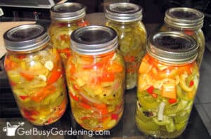 5 Ways To Preserve & Store Peppers For Short Or Long Term - Get Busy ...